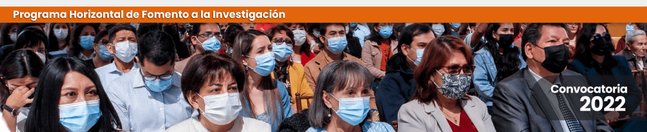 Programa Horizontal Fomento | DICYT